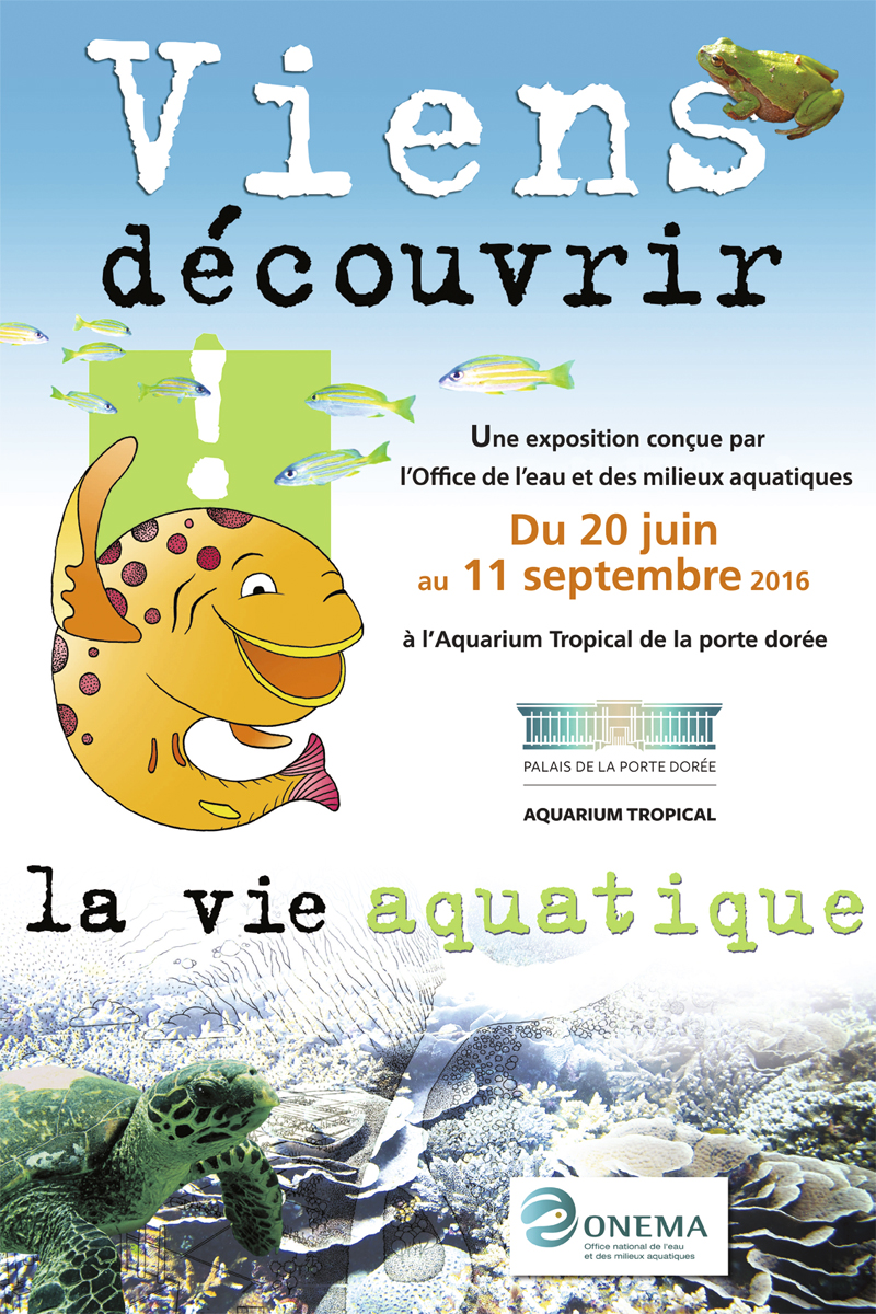 Viens découvrir la vie aquatique | Aquarium tropical | Palais de la ...